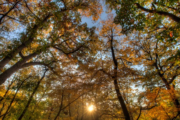 Fall Foliage at Kansas City's Cliff Drive - Eric Bowers Photoblog