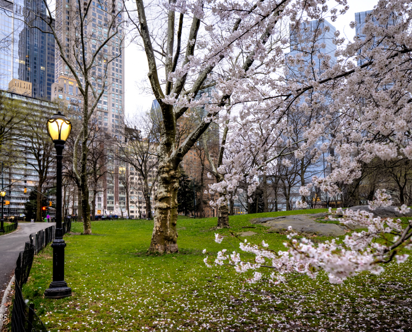 Eric Bowers Photo Blog - Eric Bowers Photoblog